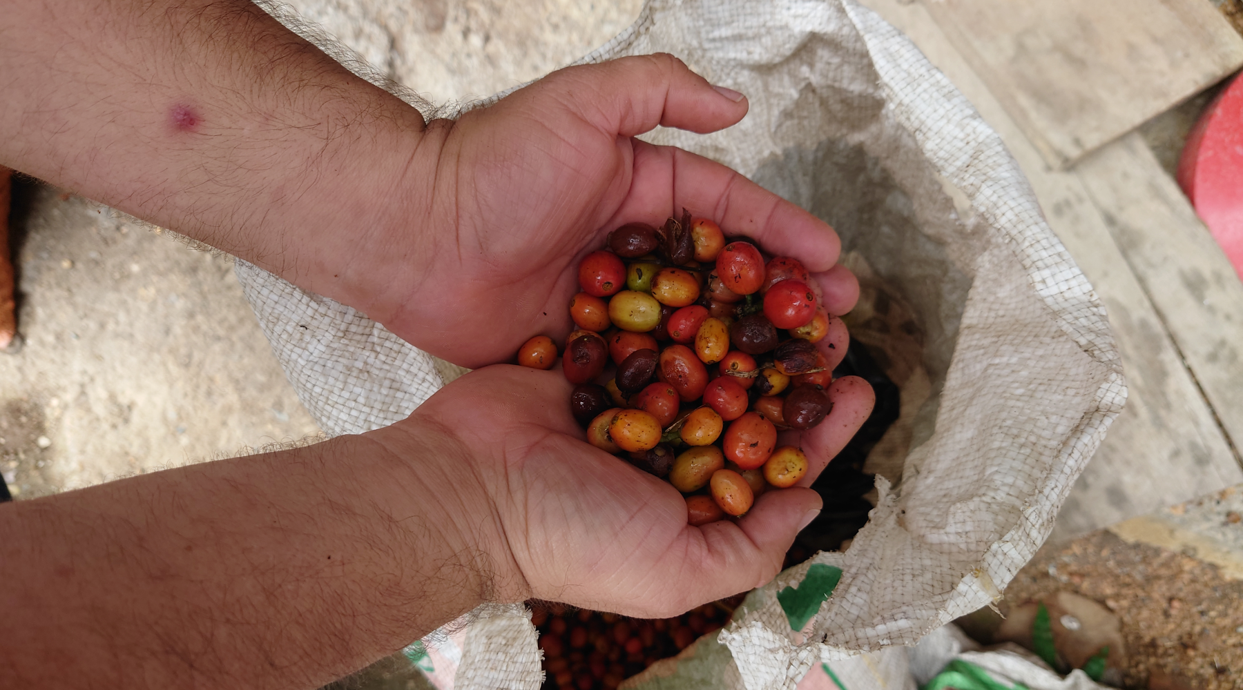 Infused Coffee or Co-Fermented Coffee: What You Need to Know – La Clara ...