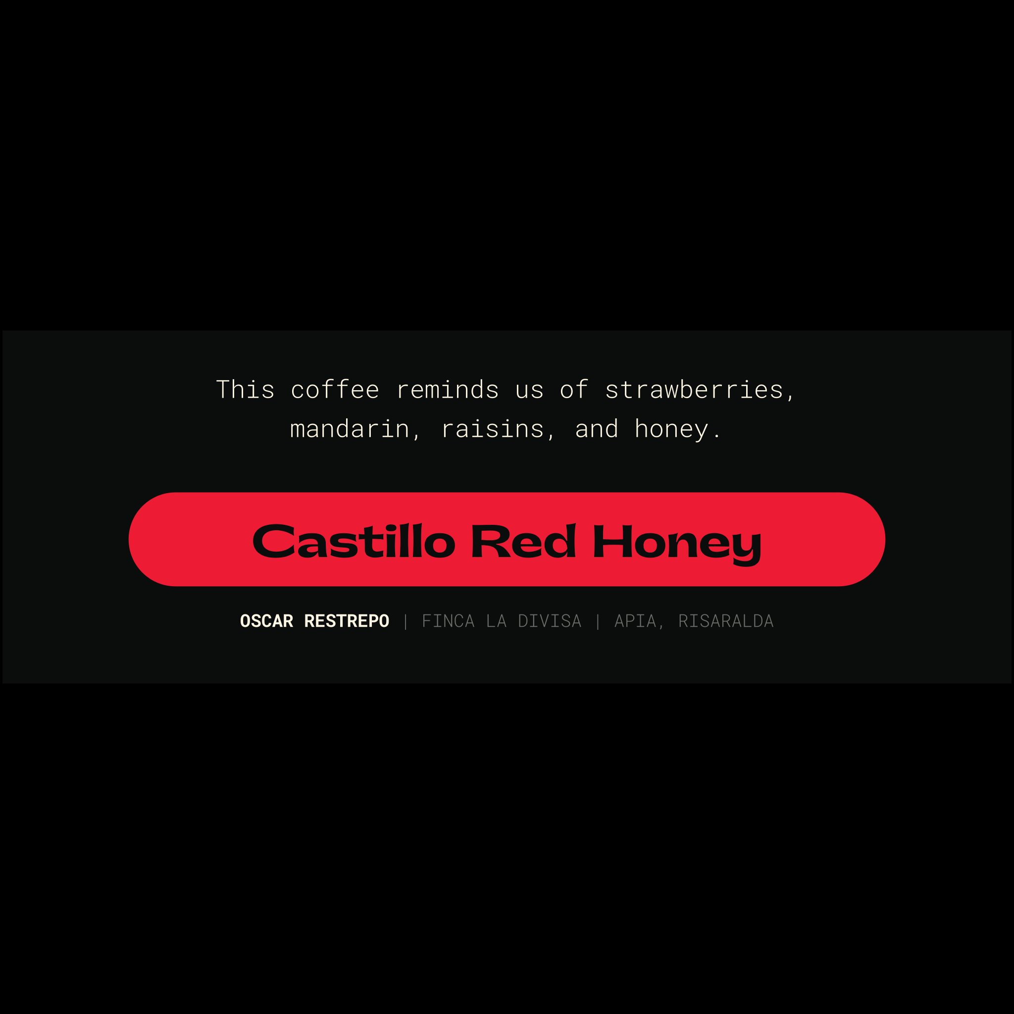 Castillo Red Honey - Finca La Divisa | Specialty Coffee Experience – La ...