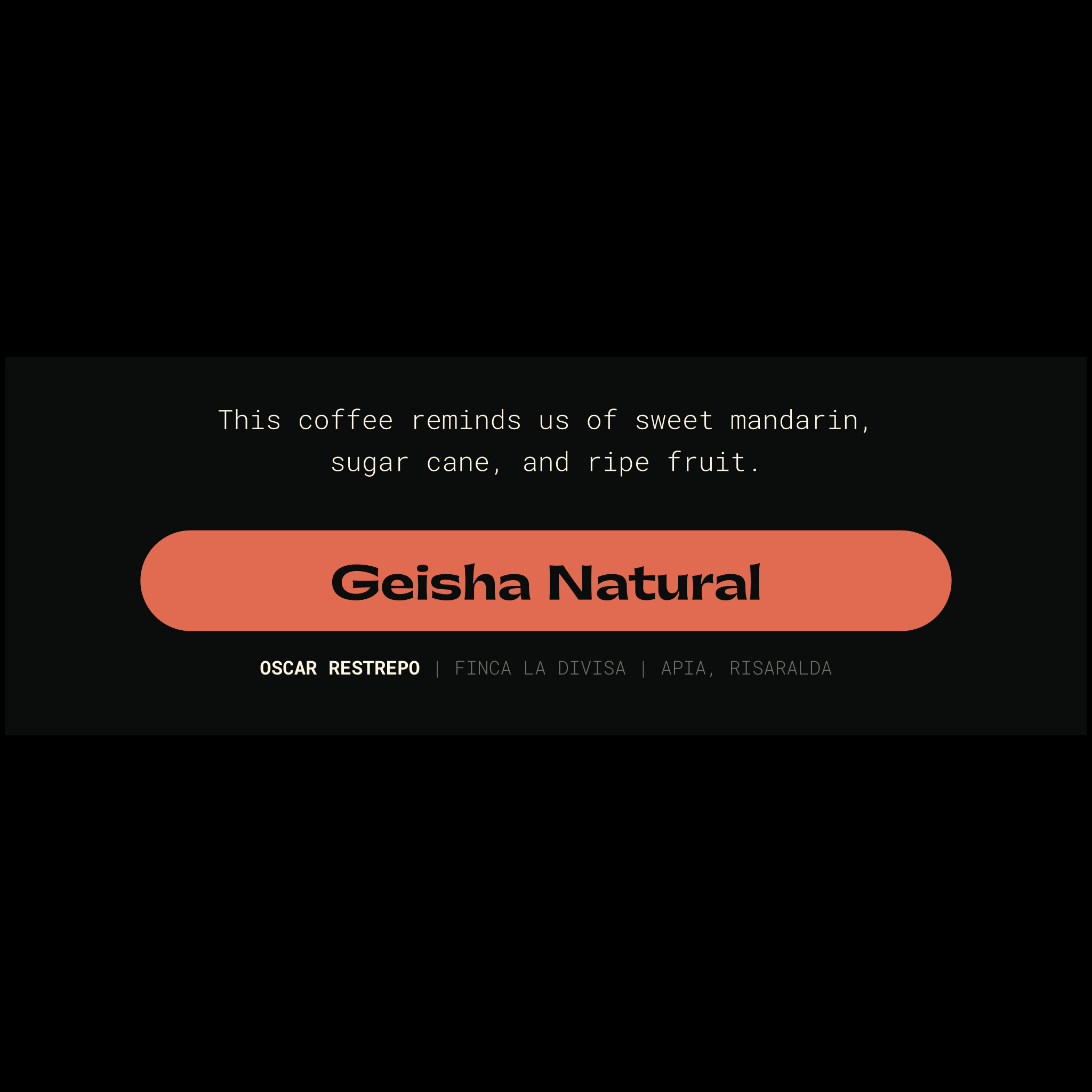 Award-Winning Geisha Natural Coffee – Finca La Divisa's Finest – La ...